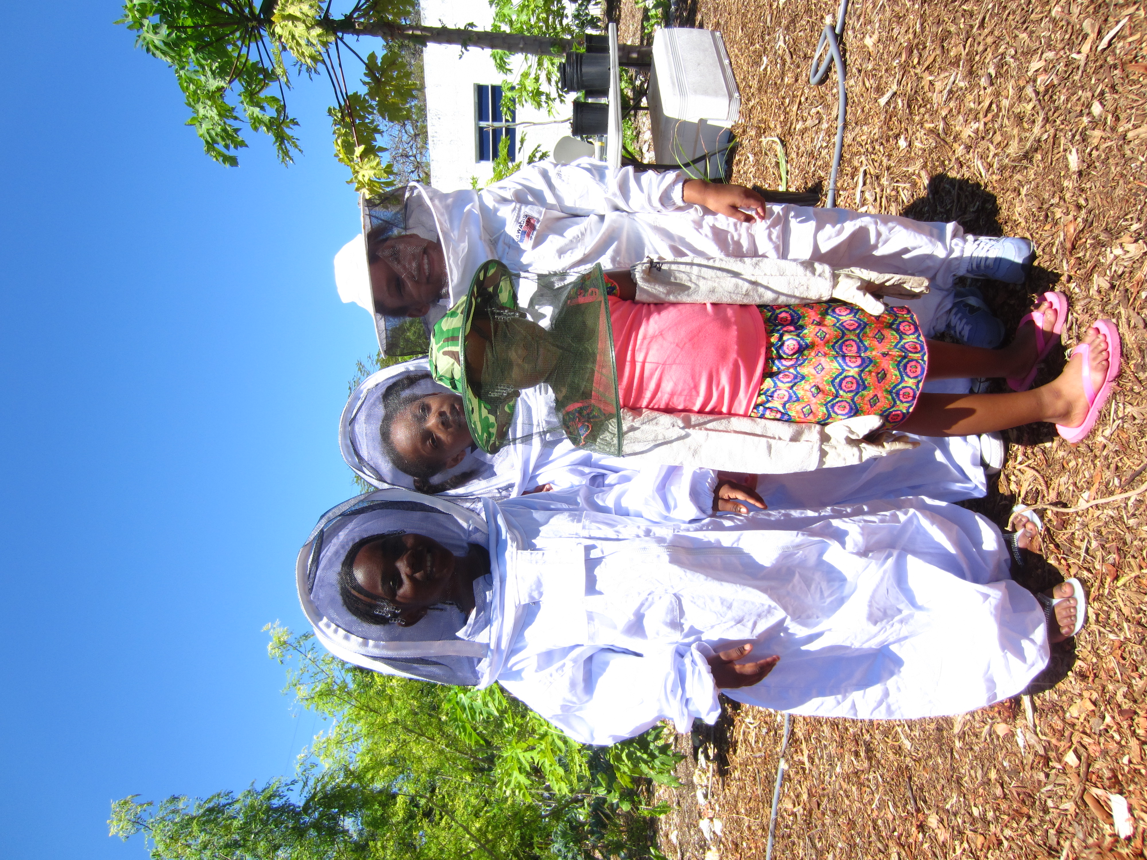 Liberty City Bee Girls - The Awesome Foundation