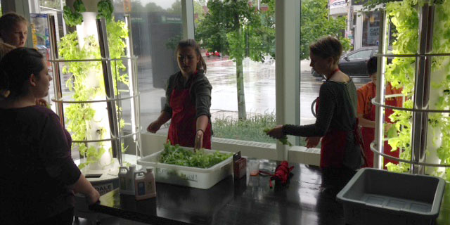 Growing Futures - The Awesome Foundation