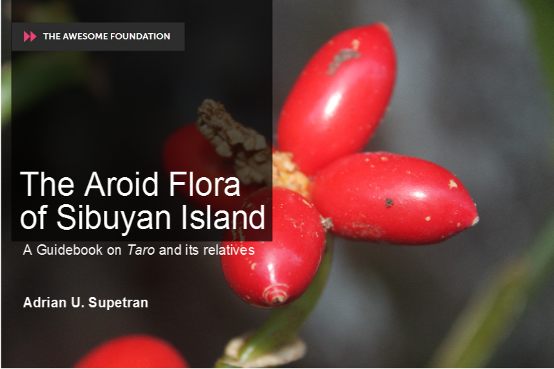 The Aroid Flora of Sibuyan Island, Philippines - The Awesome Foundation