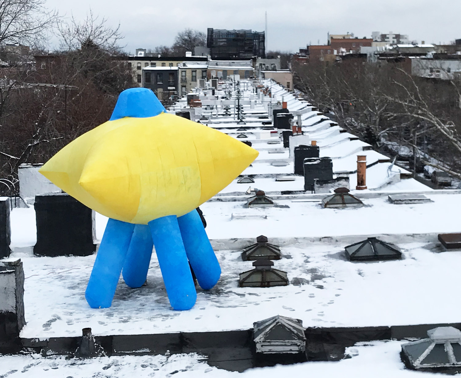 Four Wise Cattle - The Awesome Foundation