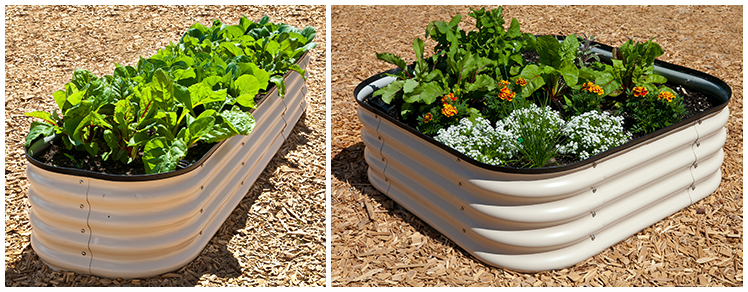 Paddock to Plate Garden - The Awesome Foundation