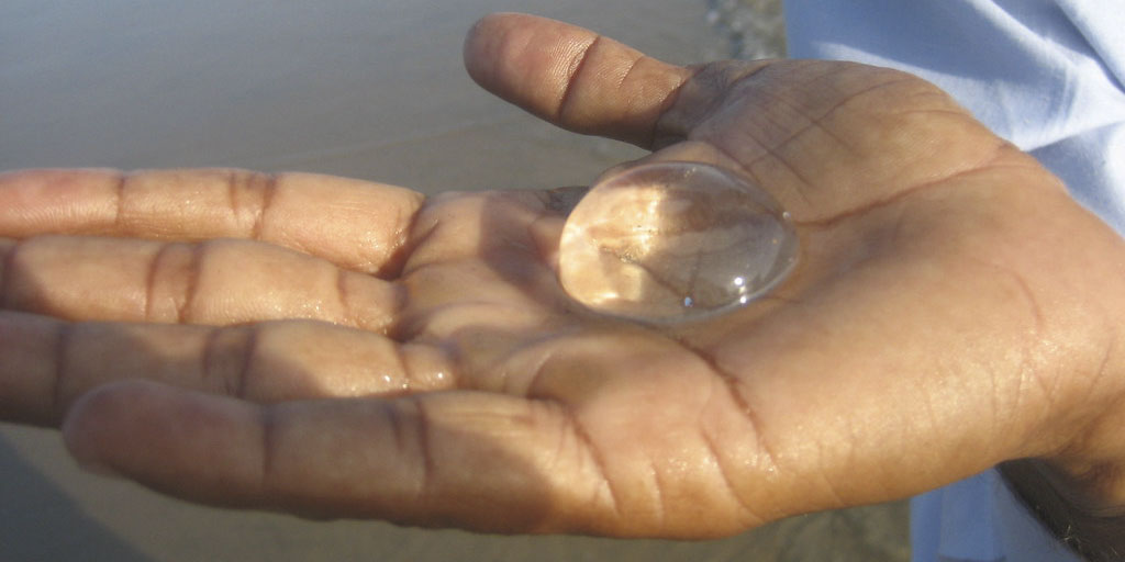 The Jellyfish Camera - The Awesome Foundation