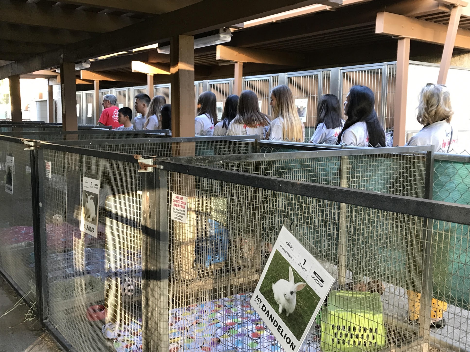 Linens N Love - The Awesome Foundation