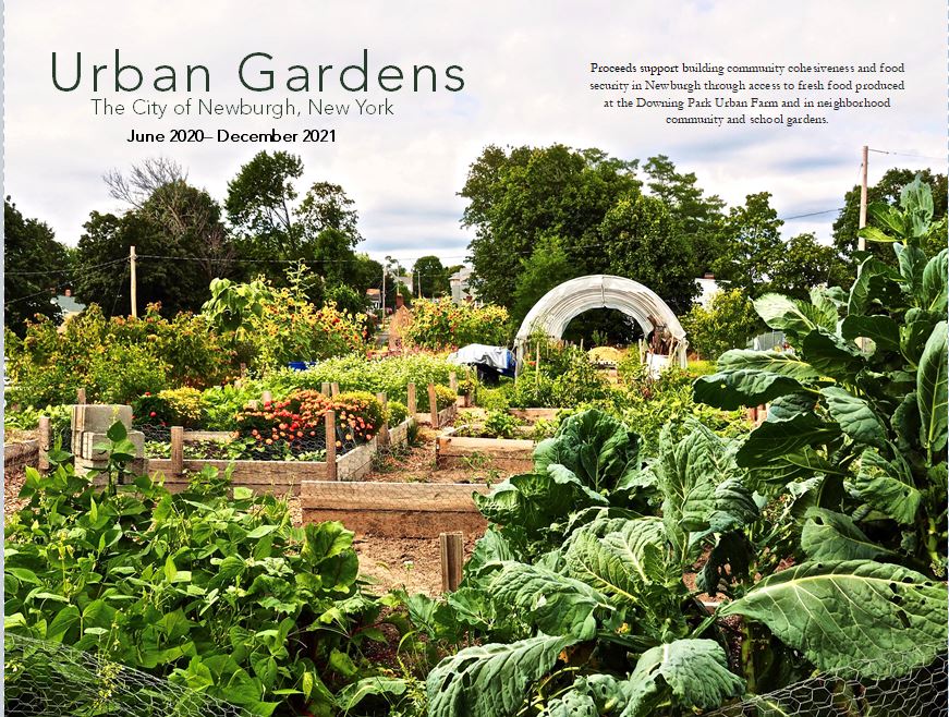 Fifth Annual Newburgh Urban Farming Fair - The Awesome Foundation
