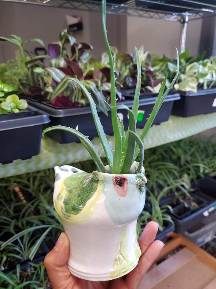 Plants for Patients 2020 Annual Ceramics Pro-Throw - The Awesome Foundation