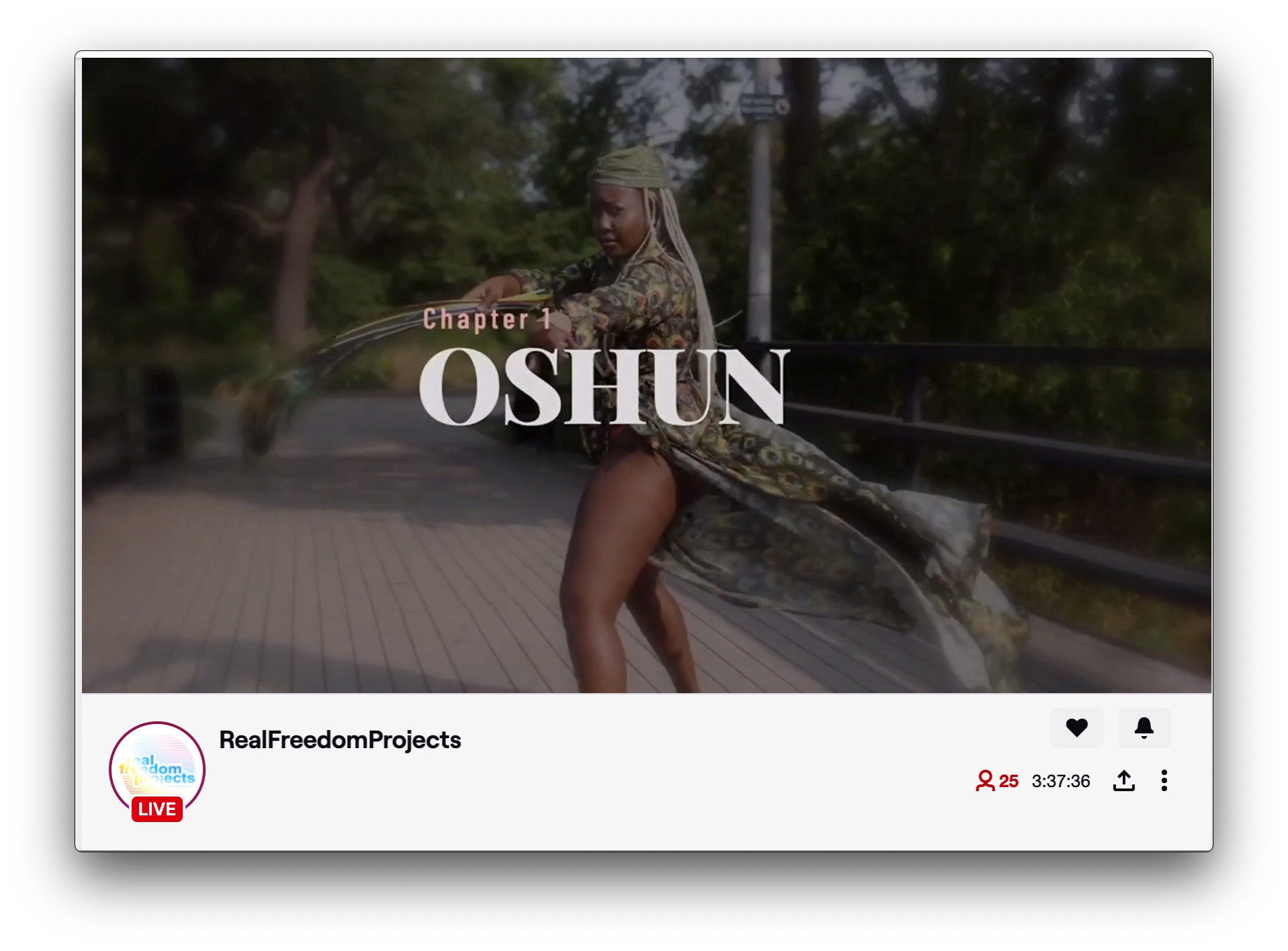 Real Freedom Projects - The Awesome Foundation