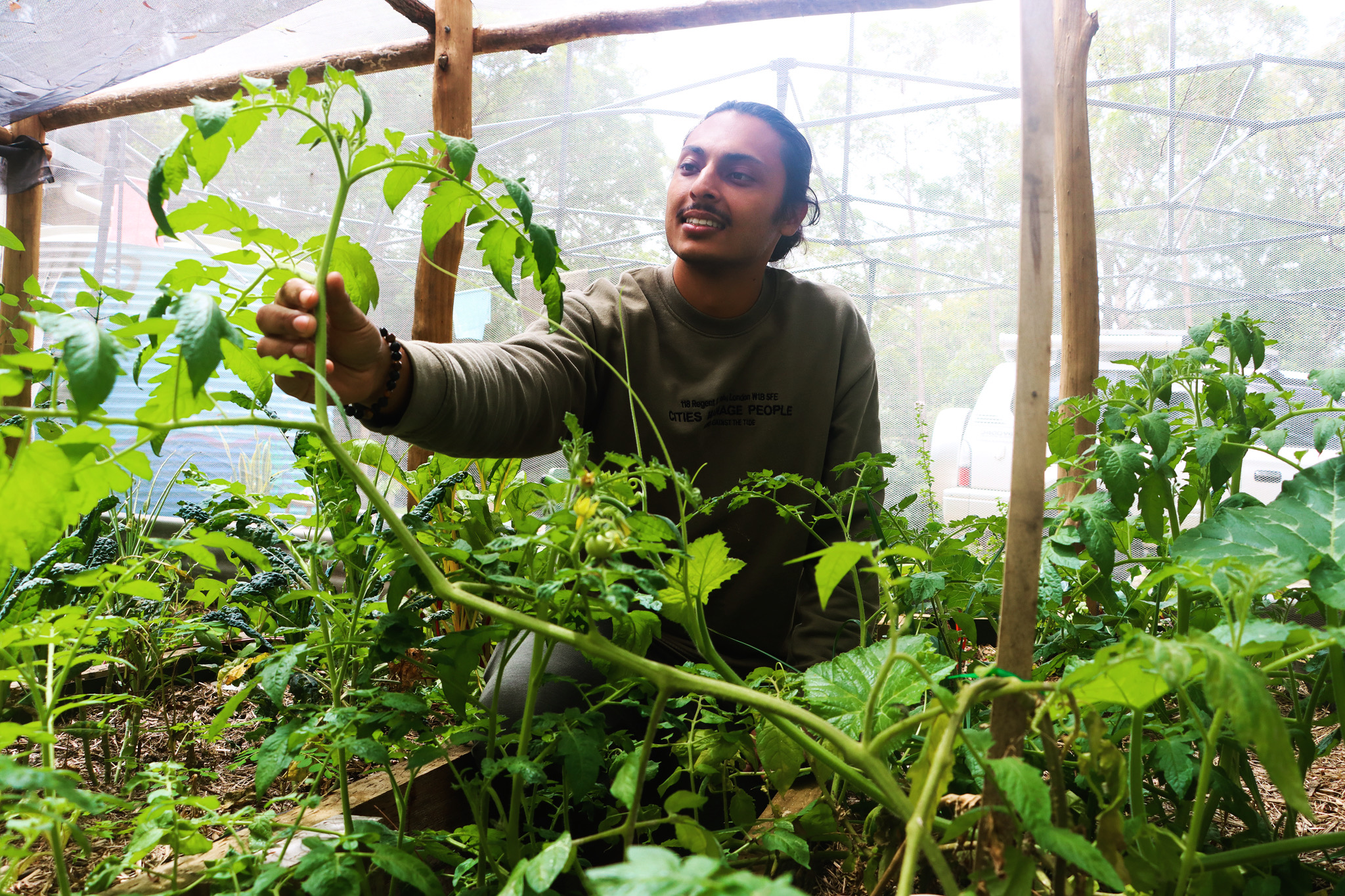 The Seeding Project - The Awesome Foundation