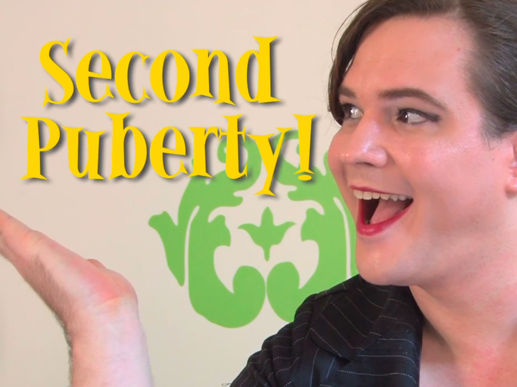 Second Puberty The Awesome Foundation