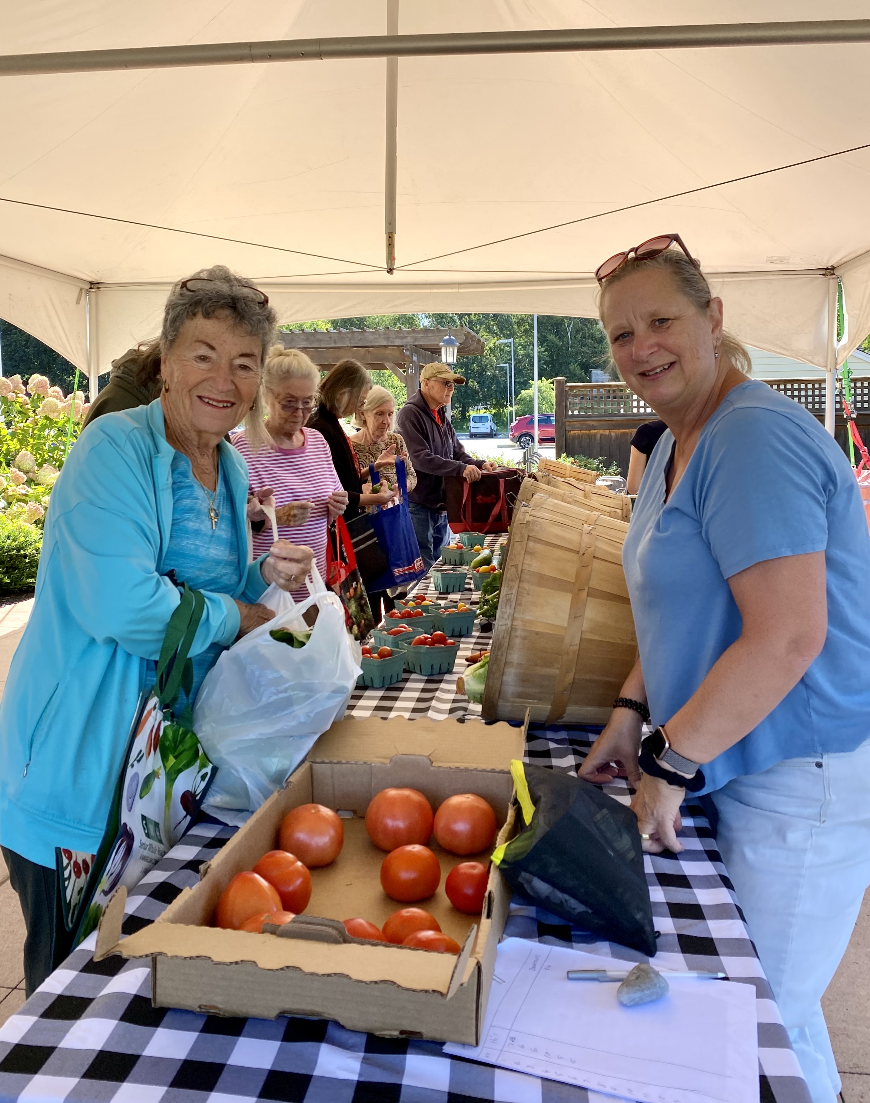 VEGOUT Farmers Market -- Fresh Food for All! - The Awesome Foundation